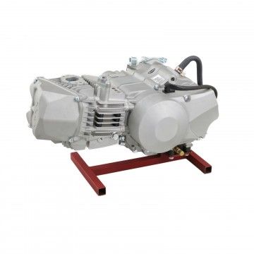 DAYTONA ANIMA 190 FSM 4V engine