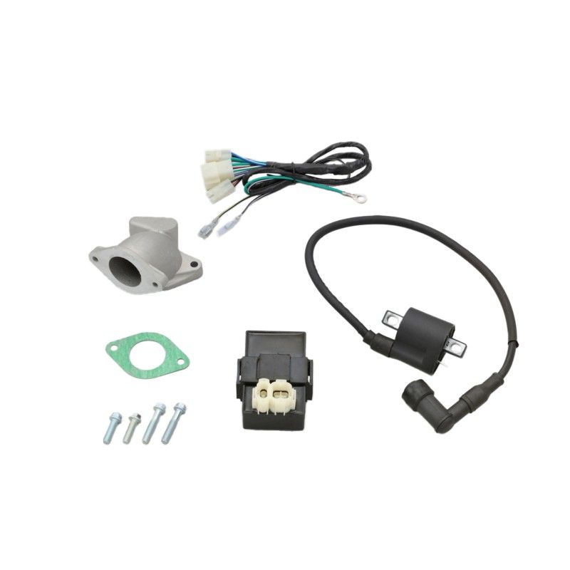 DAYTONA ANIMA 190 FSM 4V engine