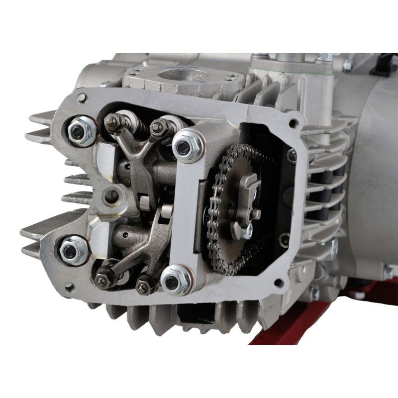 DAYTONA ANIMA 190 FSM 4V engine