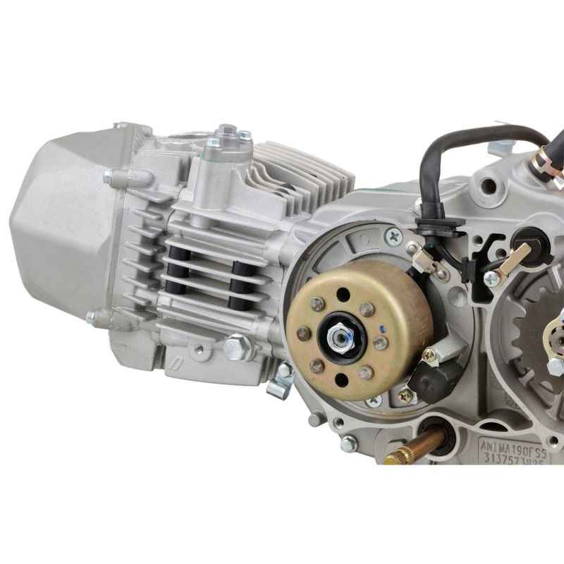 DAYTONA ANIMA 190 FSM 4V engine